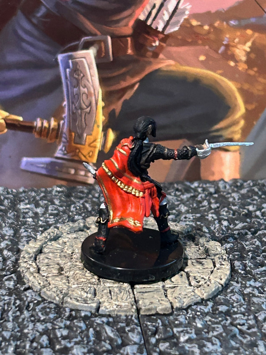 Jirelle Half Elf Swashbuckler D&D Miniature Dungeons Dragons Iconic He ...
