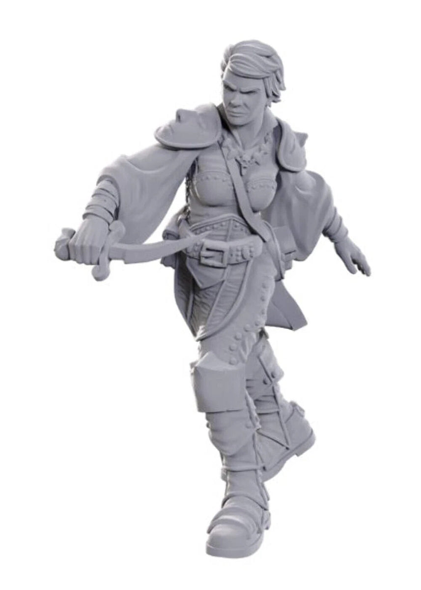Swashbuckler W25 Nolzur's D&D miniature Dungeons Dragons unpainted fig ...