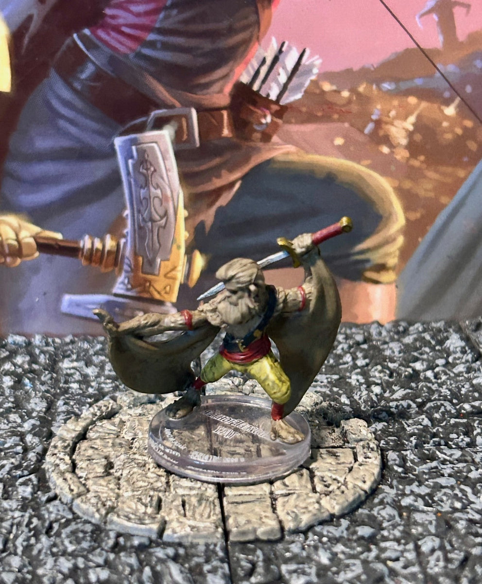 Hadozee Fighter D&D Miniature Dungeons Dragons Spelljammer Adventures ...