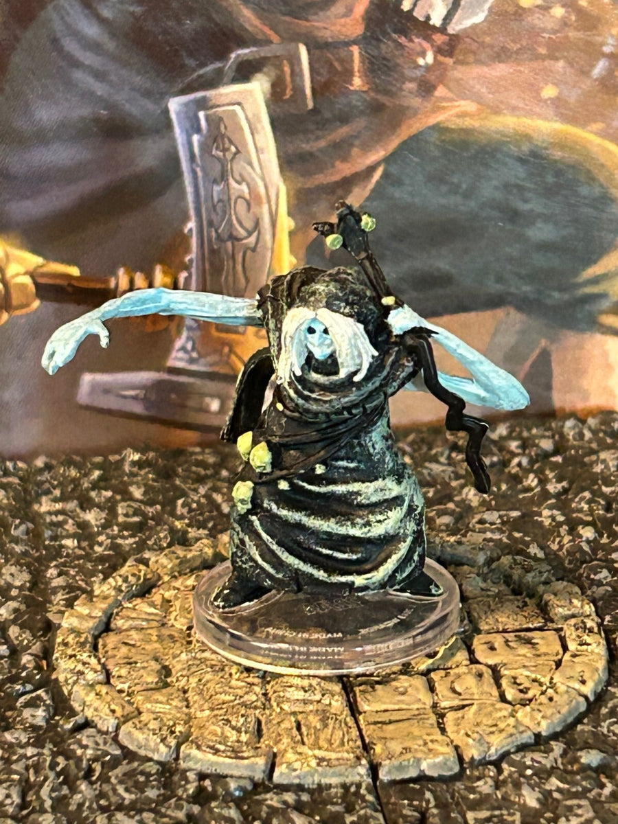 Bheur Hag D&D Miniature Dungeons Dragons Waterdeep Mad Mage witch fros ...