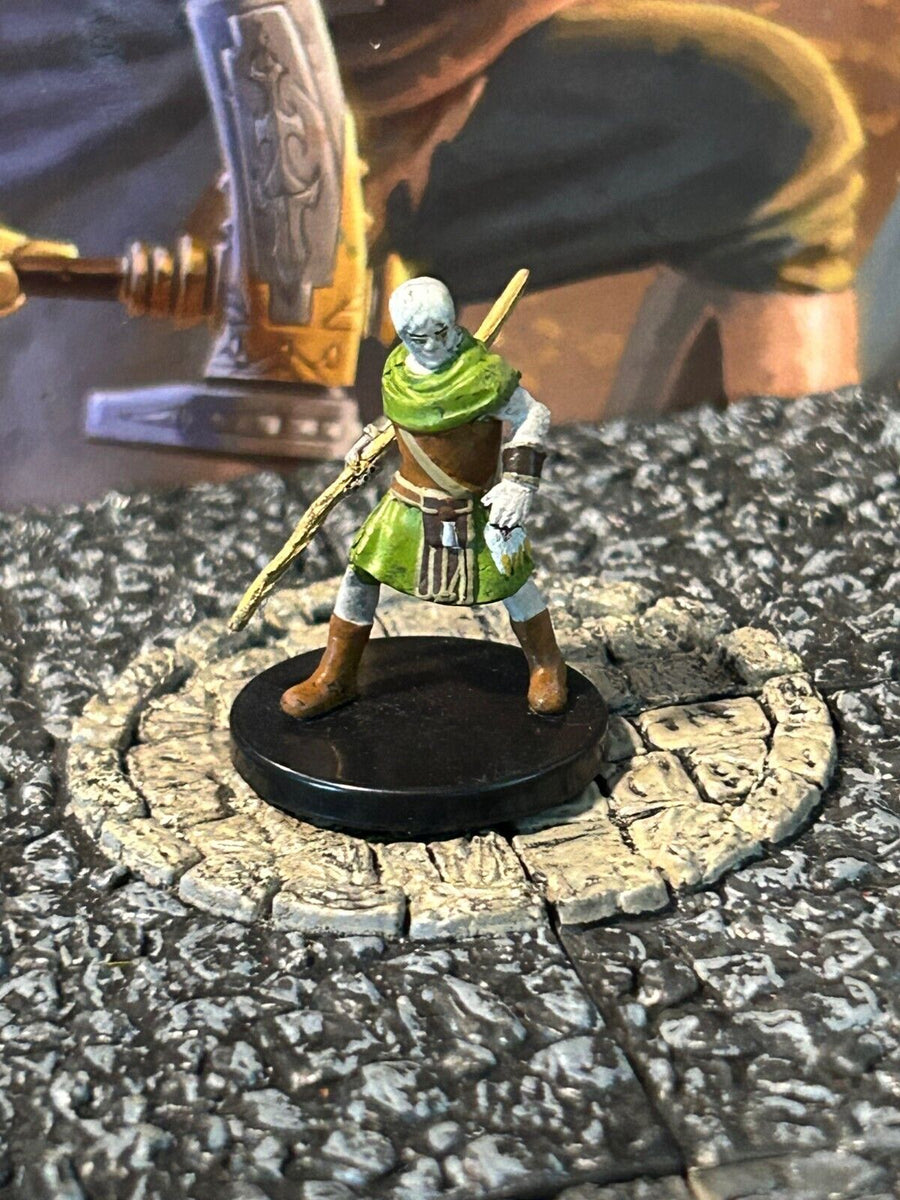 Shifter Druid D&D Miniature Dungeons Dragons Eberron monk fighter wiza ...