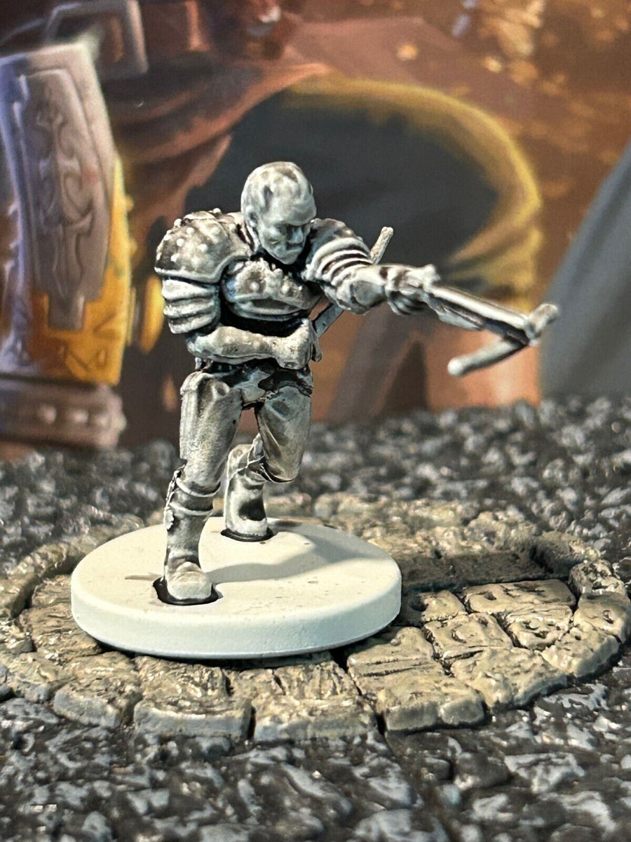 Tarak Half Orc Rogue Legend of Drizzt D&D Miniature Dungeons Dragons f ...