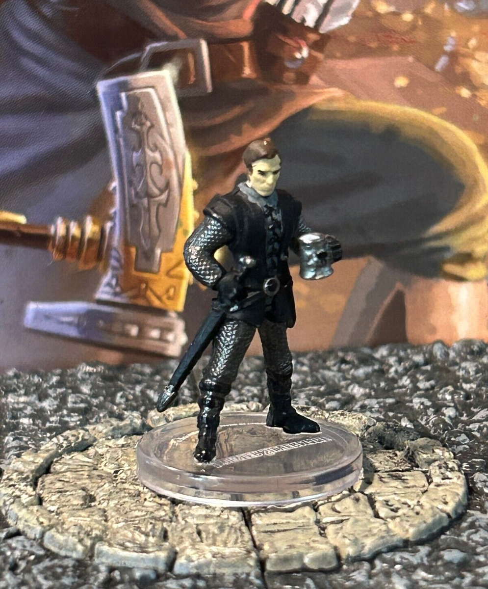 Jalester Silvermane D&D miniature Dungeons Dragons Yawning Portal Frie ...