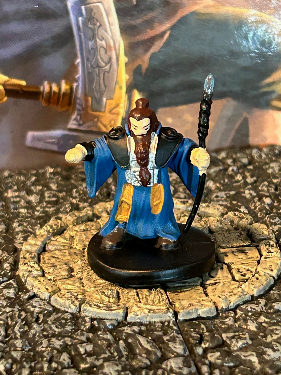 Shield Dwarf Wizard D&D Miniature Dungeons Dragons Rage druid cleric p ...